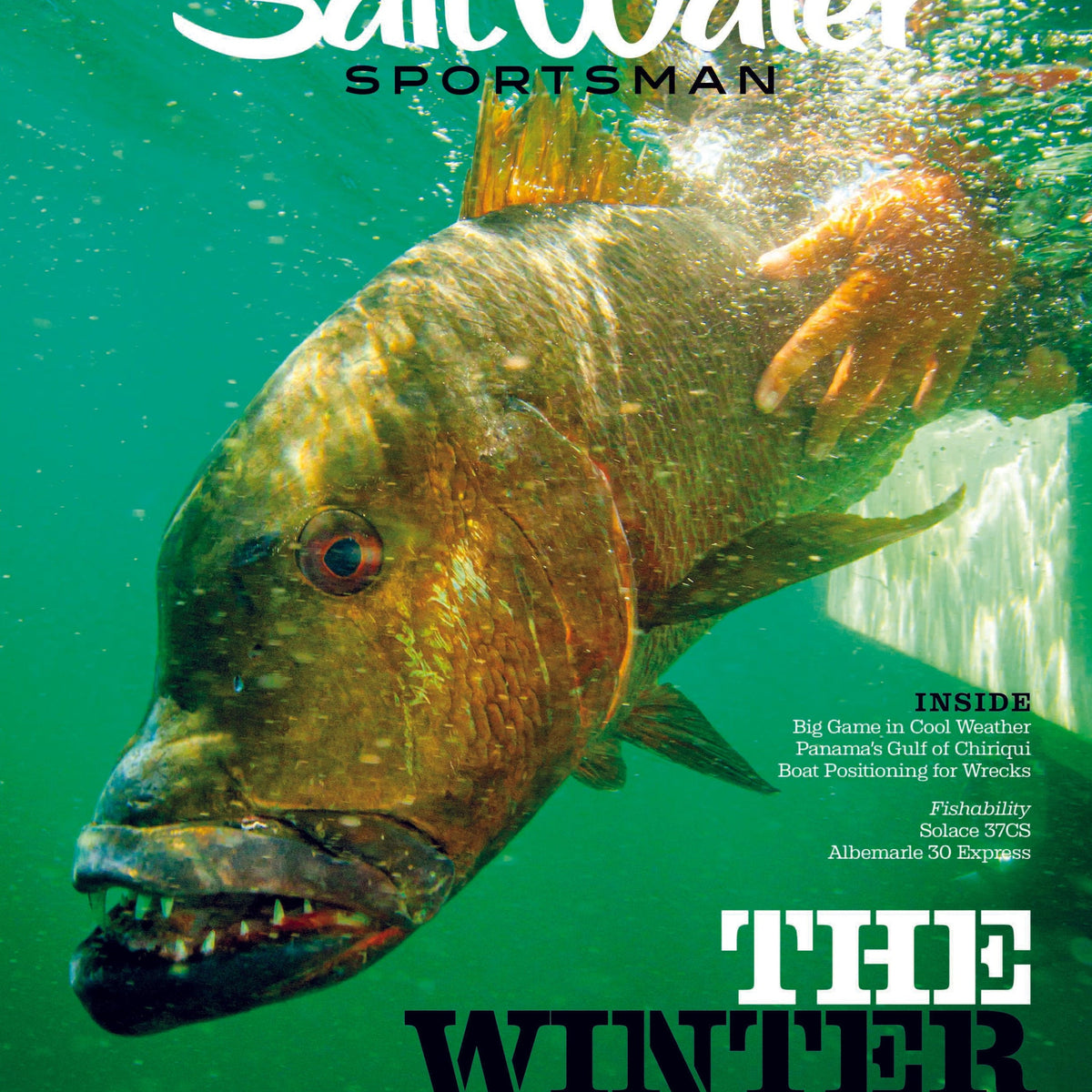 Salt Water Sportsman Nov/Dec 2024 – The Marine Shop